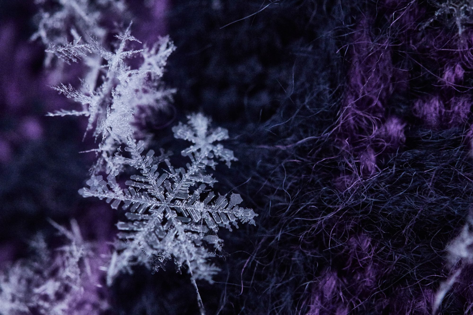 Connecting Alteryx to Snowflake - The Data School