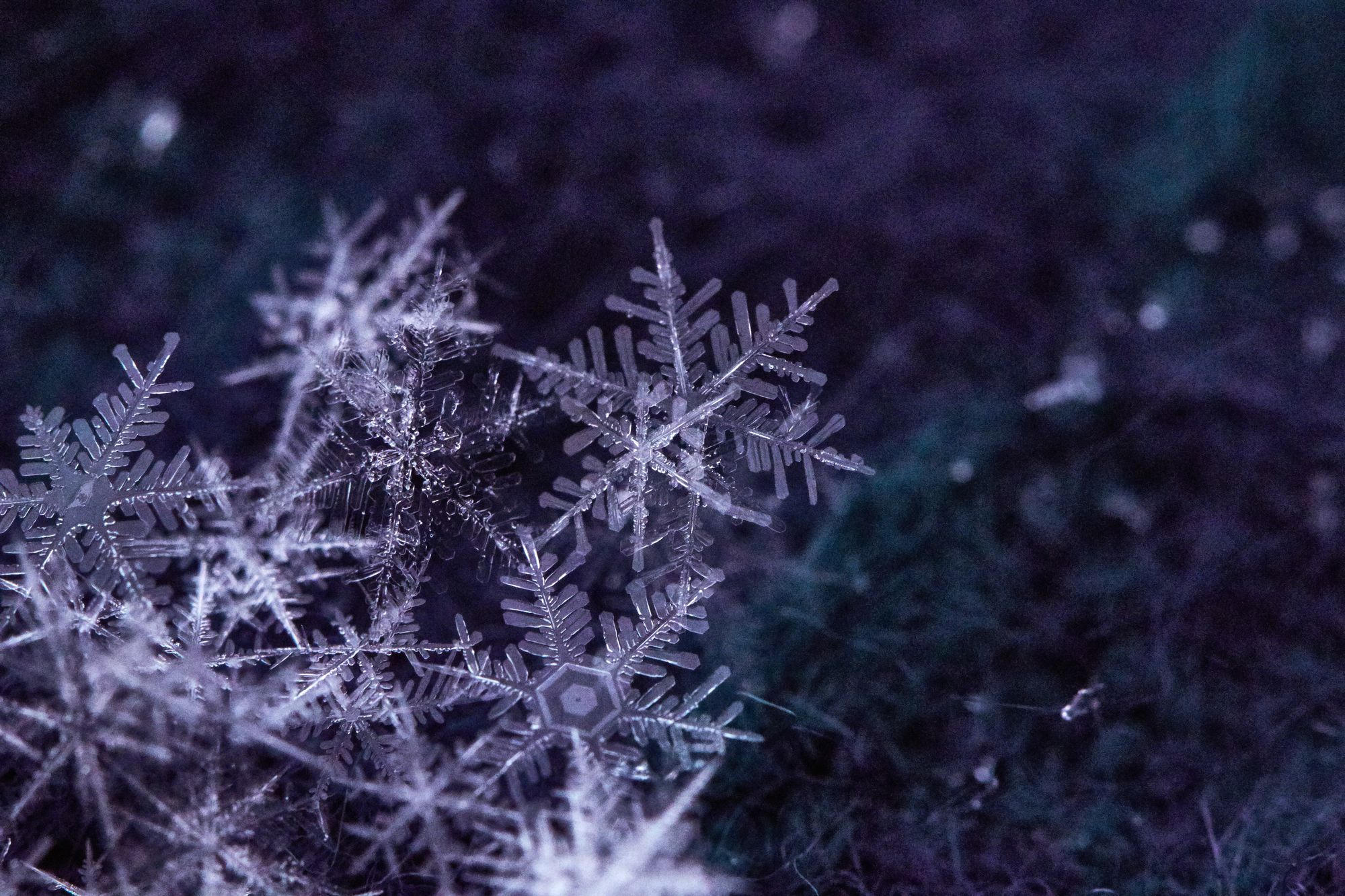 Week 10: Snowflake & SQL Challenges | DS23 - The Data School