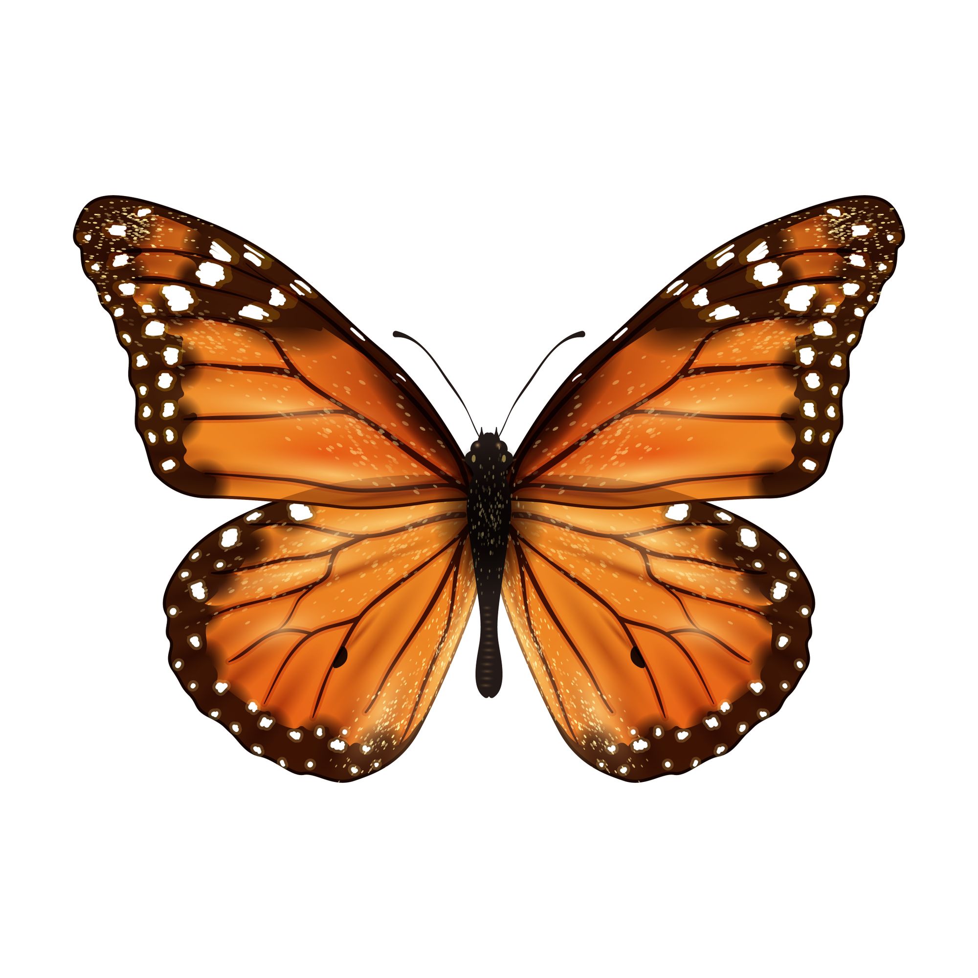 How to create a Butterfly Chart / Diverging Bar Chart - The Data School