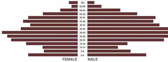 Creating a Butterfly Chart in Tableau - The Data School