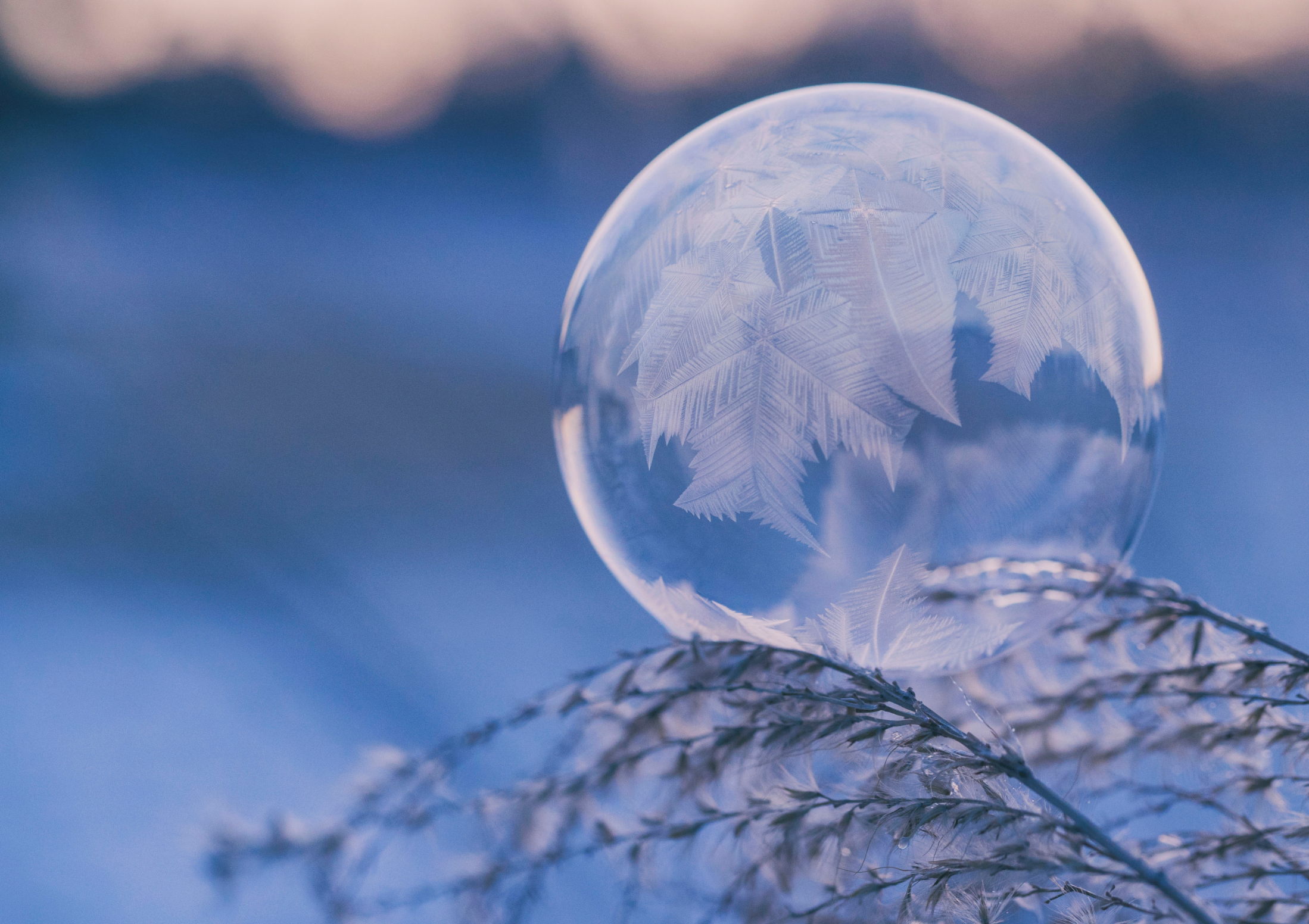 Using reference lines to create chart padding in Tableau - The Data School